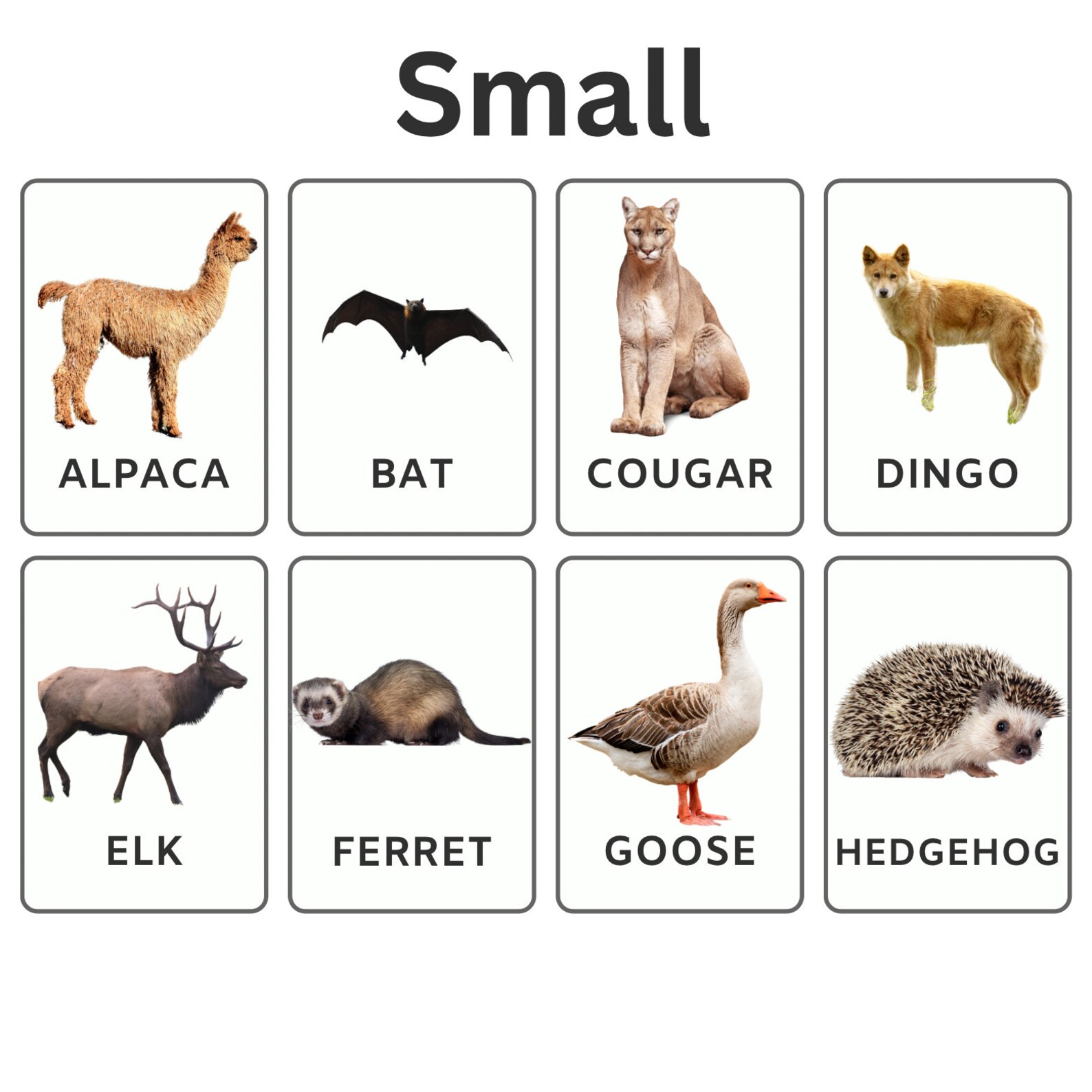 Flashcards 3 Sizes Printable Kids Flashcards Montessori Card Style ...