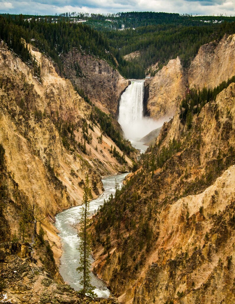 Grand Canyon of the Yellowstone No. 101 - Etsy