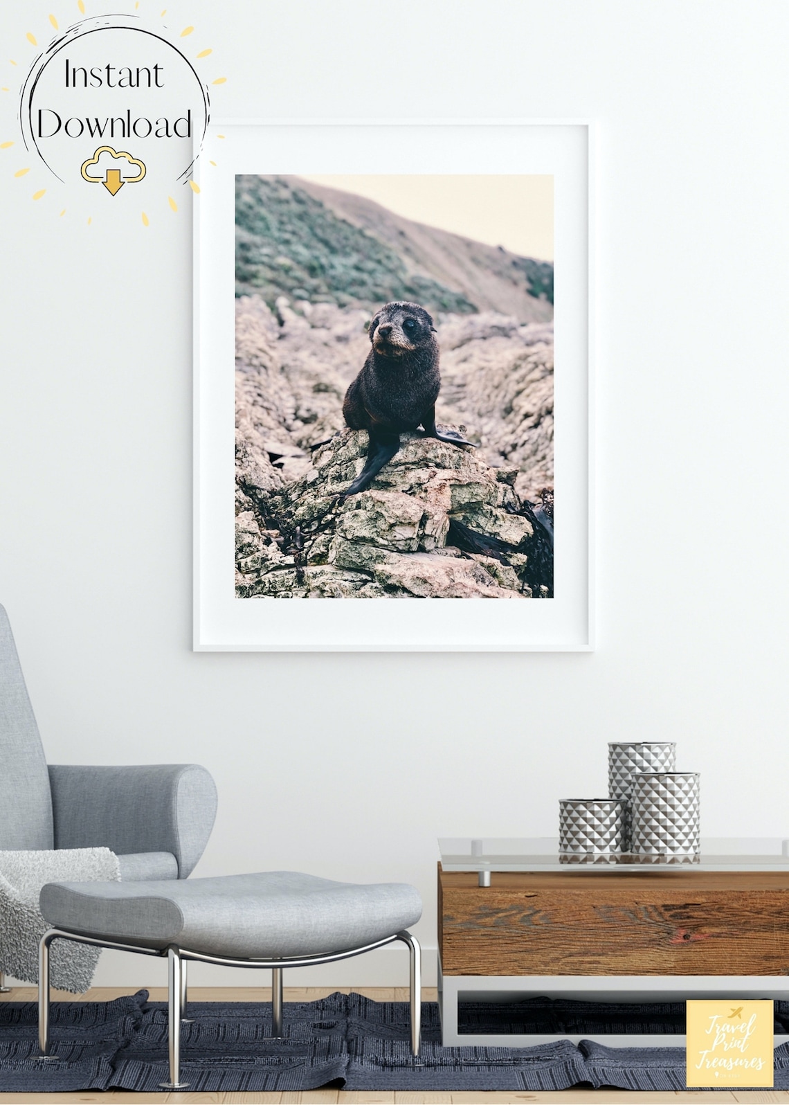Seal Print, Seal Wall Art, Wild Animal Photograph, Animal Wall Art, Sea ...