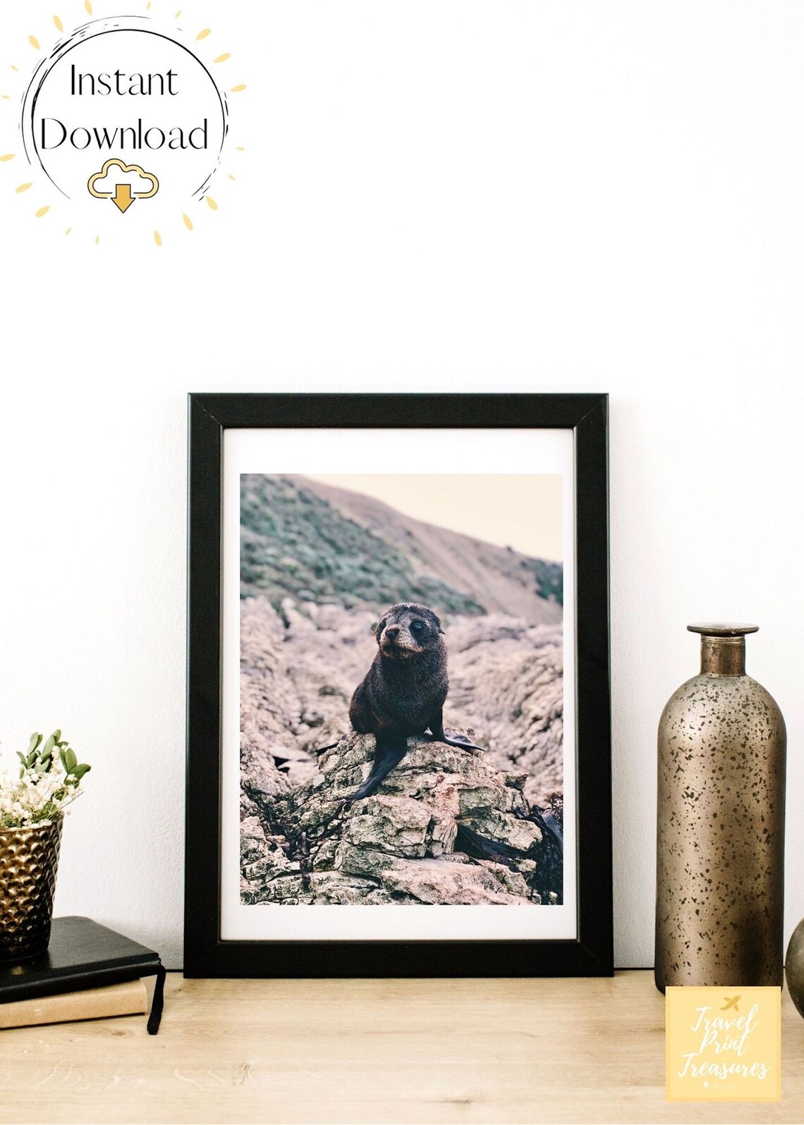 Seal Print, Seal Wall Art, Wild Animal Photograph, Animal Wall Art, Sea ...