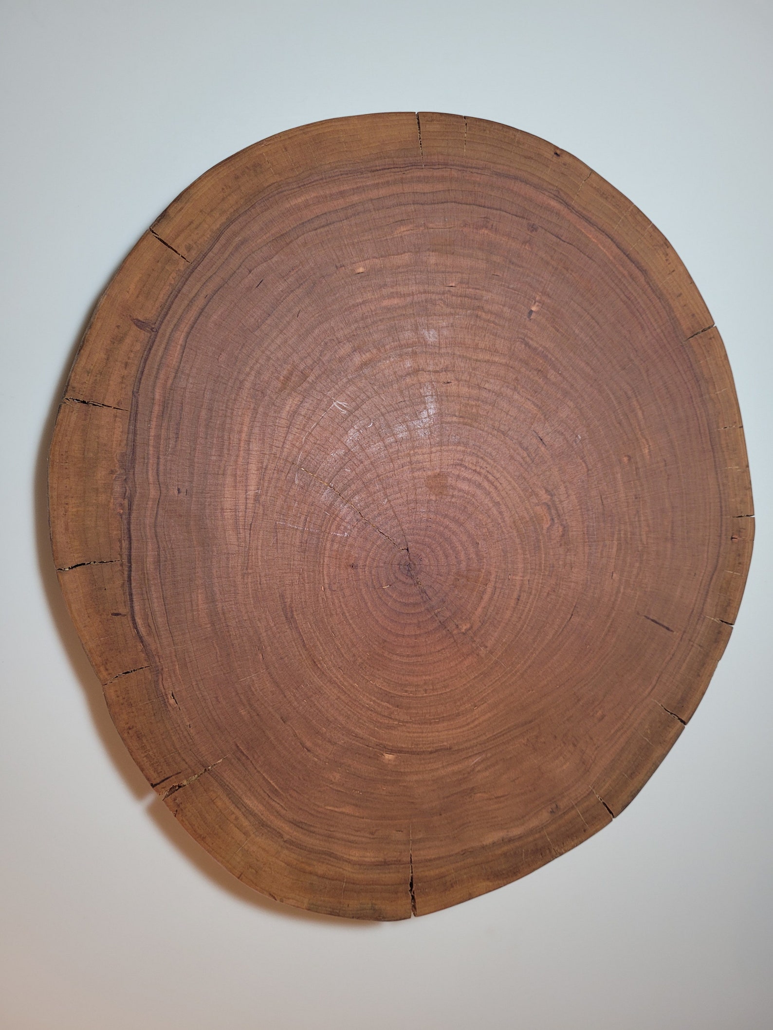 Large Live-edge Wooden Trivet - Etsy