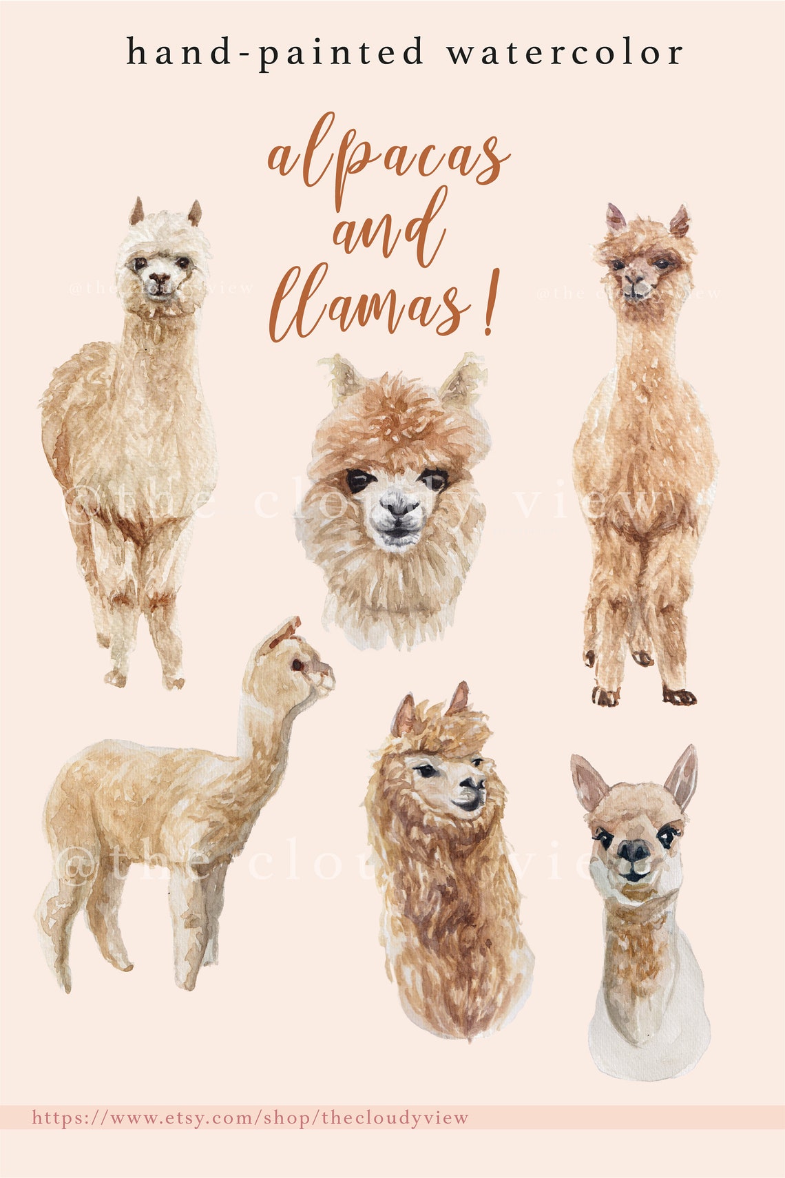 Llama and Alpaca Watercolor Clipart for Personal and Commercial Use|300 ...