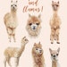 Llama and Alpaca Watercolor Clipart for Personal and Commercial Use|300 ...