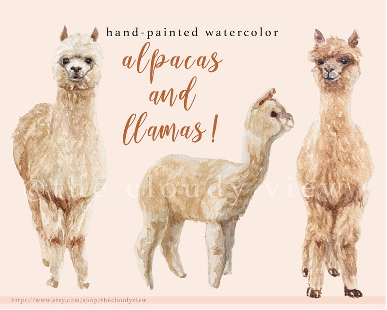 Llama and Alpaca Watercolor Clipart for Personal and Commercial Use|300 ...
