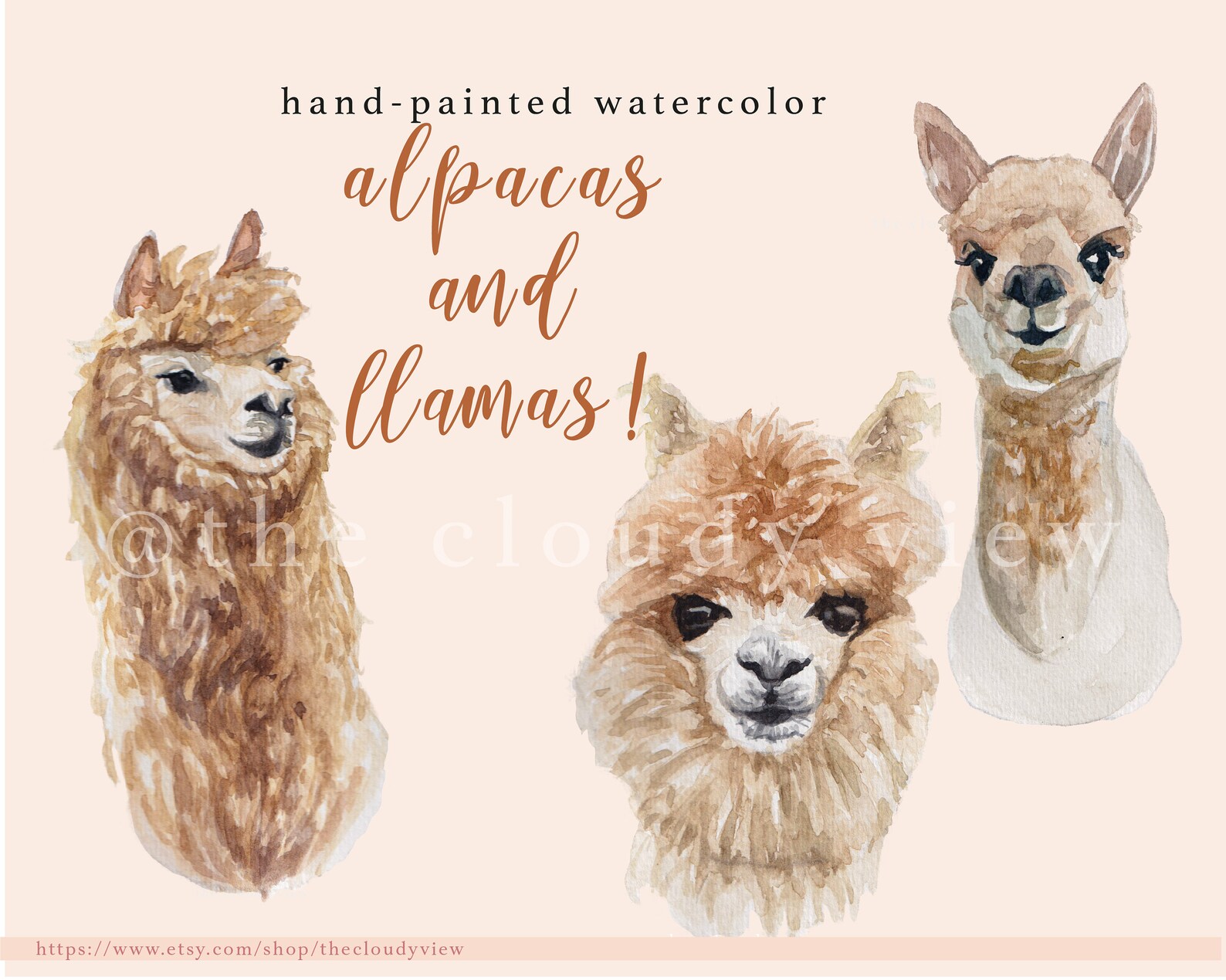 Llama and Alpaca Watercolor Clipart for Personal and Commercial Use|300 ...