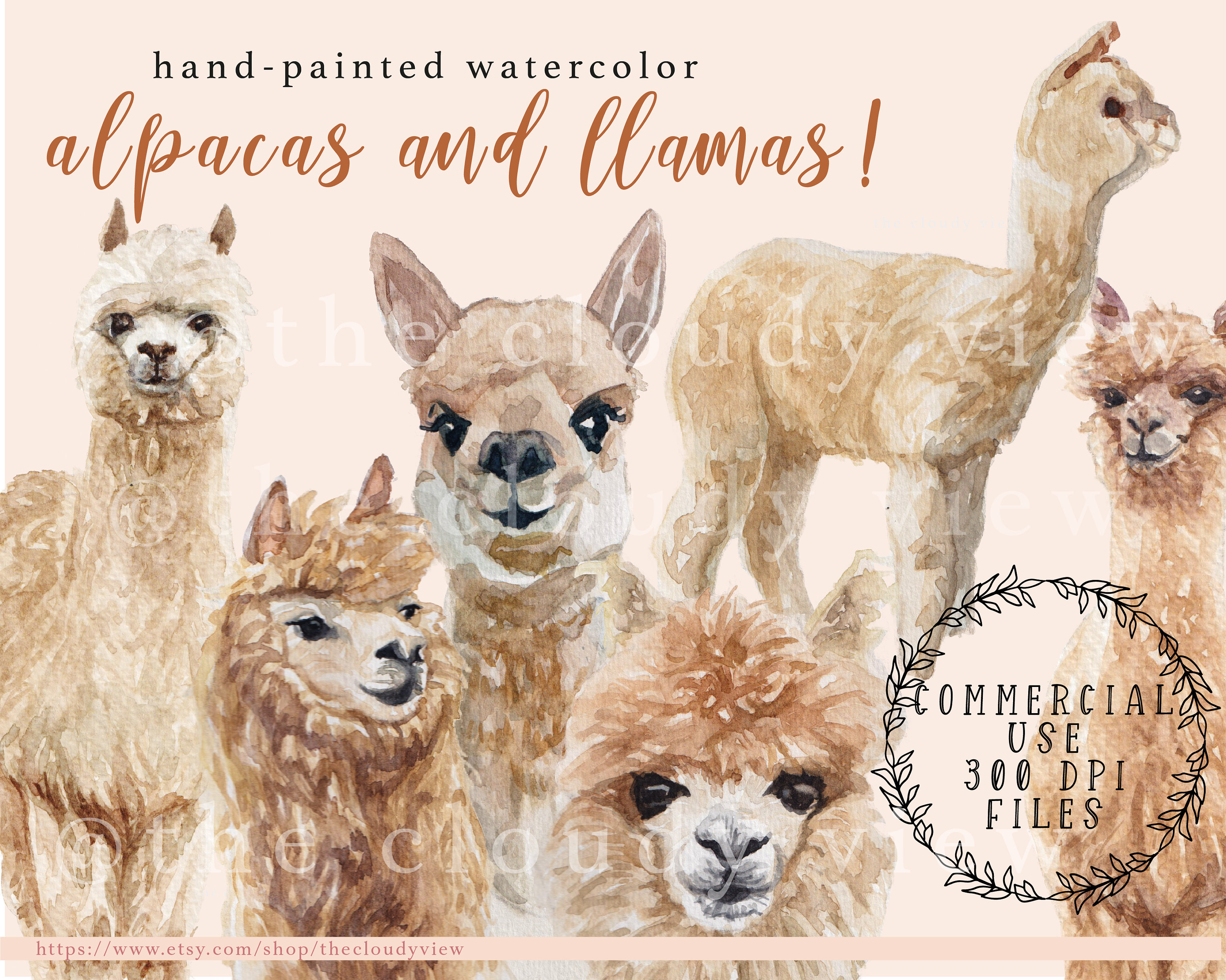 Llama and Alpaca Watercolor Clipart for Personal and Commercial Use|300 ...