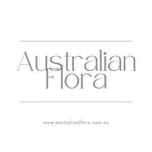 Australian Native Flowers Set of 3 Prints | Australian Housewarming ...