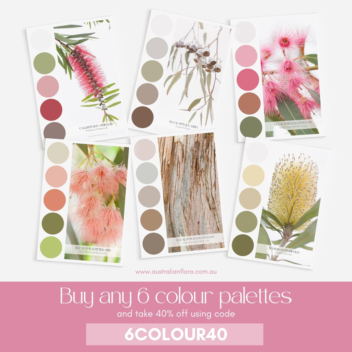Eucalyptus Color Palette: Australian Gum Nut Color Scheme (digital ...