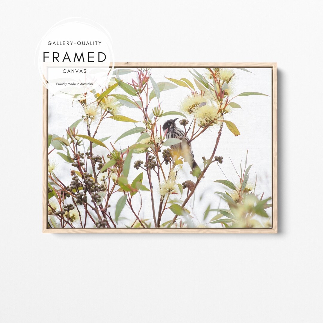 Australian Nature Canvas Print Framed Australian House Warming Gift ...