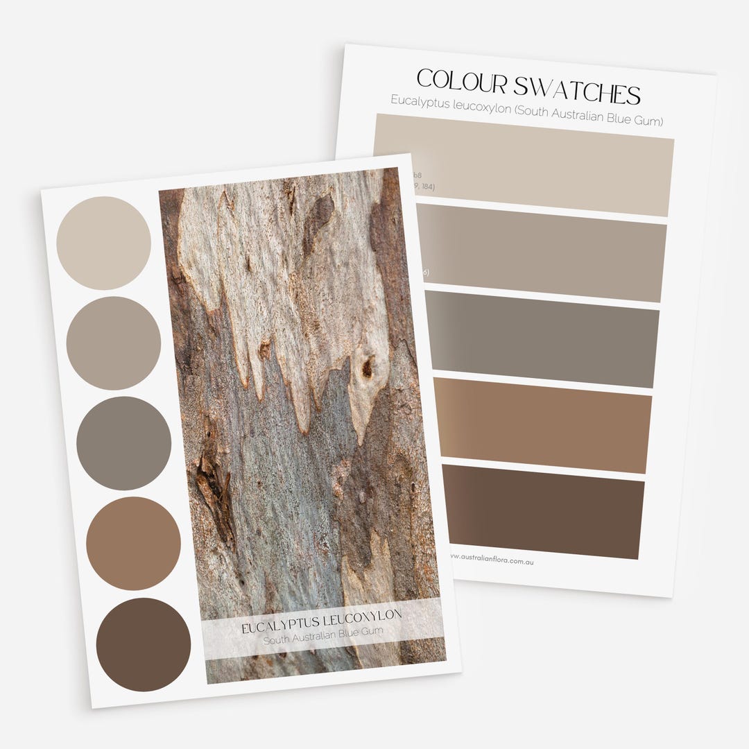 Eucalyptus Bark Color Palette: Australian Nature Tones (instant ...