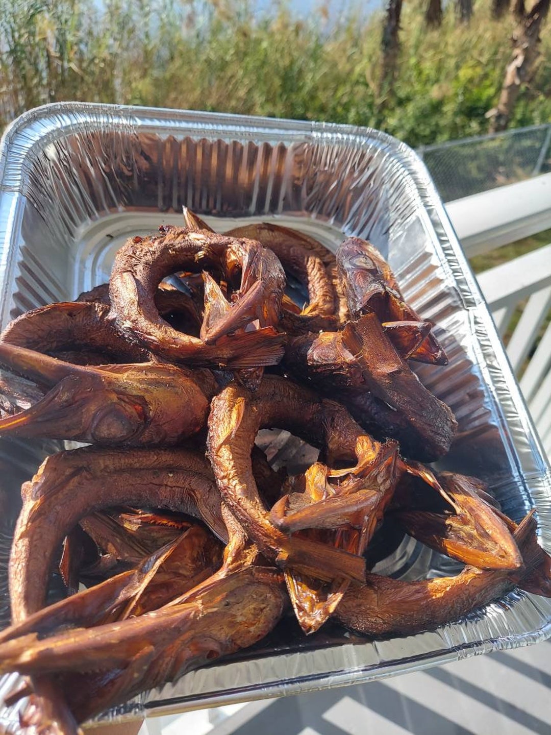 Kuta Fish/barracuda Fish/ - Etsy