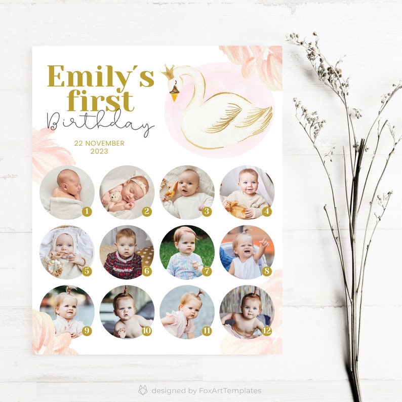 Swan 1st Birthday Milestone Board Photo Milsestone Poster for First ...