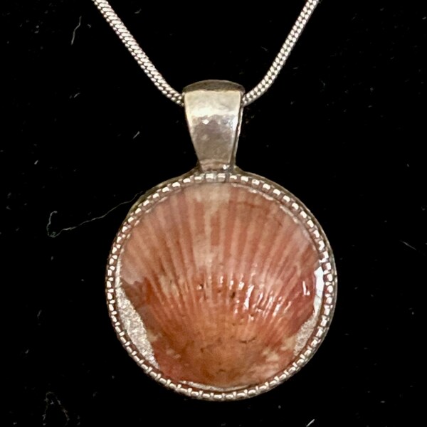 Scallop Shell Necklace - Etsy