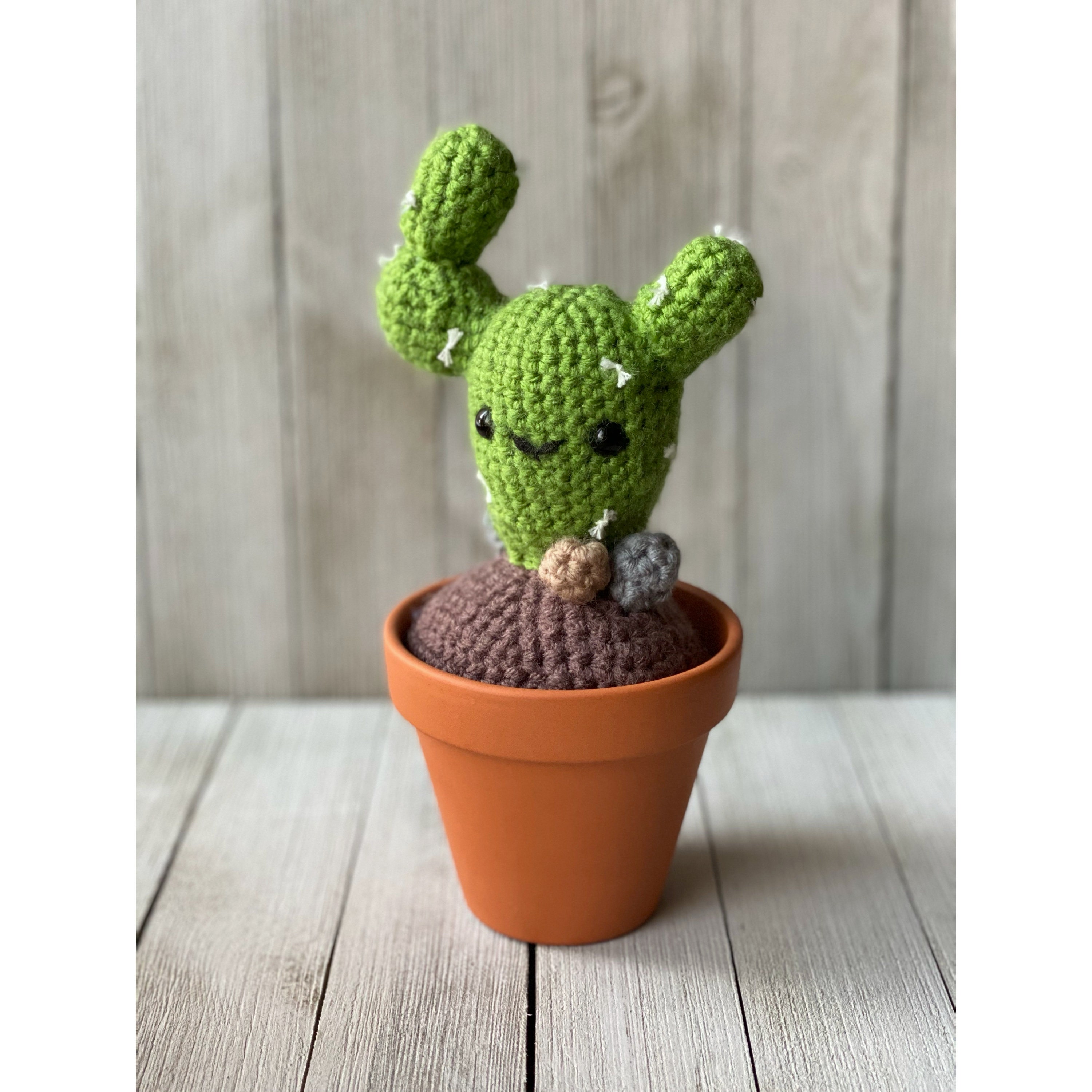 Crochet Cactus | Etsy