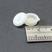1:48 Scale Pool Float 1 Kit Dollhouse Miniature O Scale / Gauge 3D ...