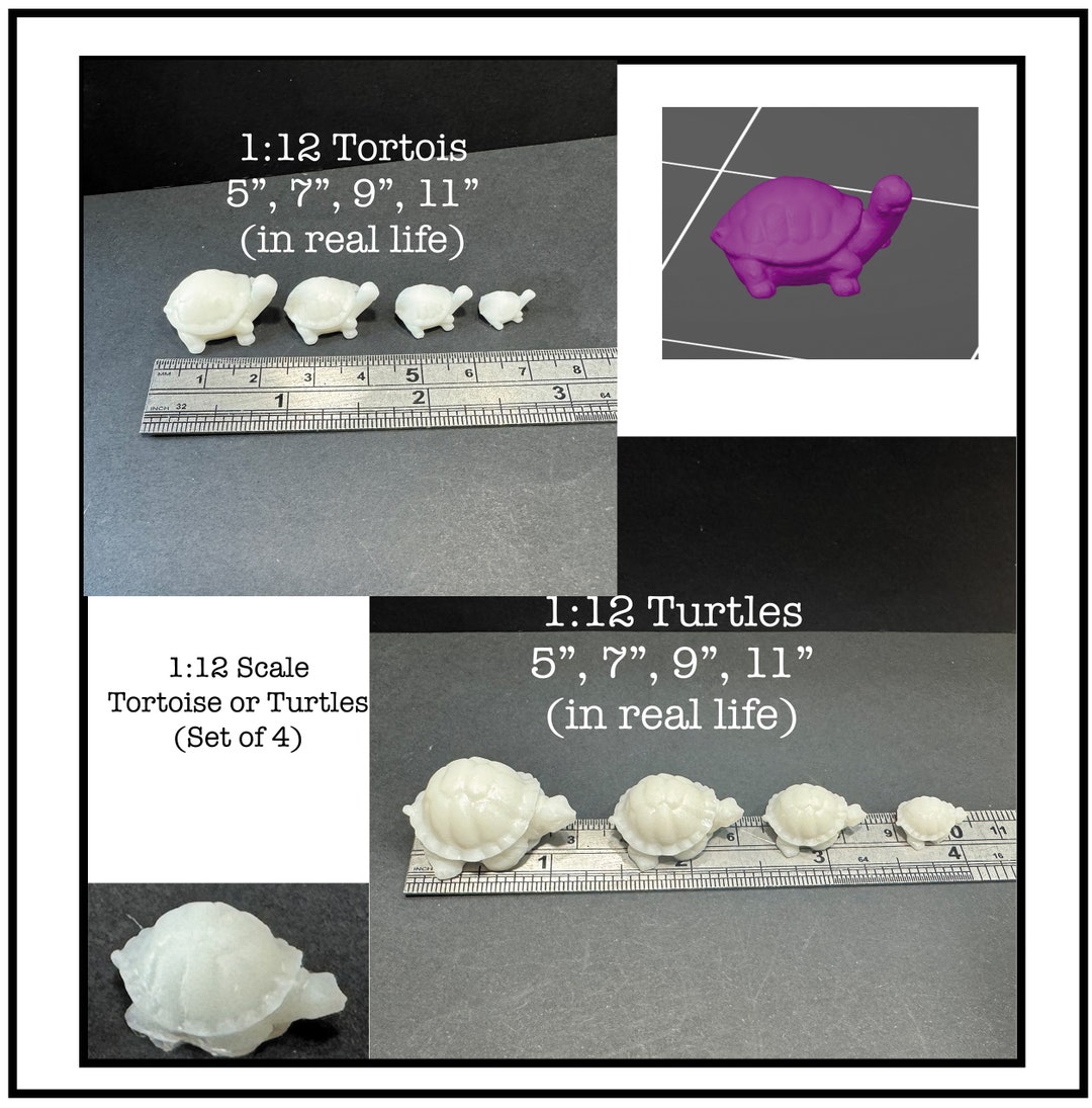 1:12 Scale Turtles (4) or Tortoise (4) Kit * Dollhouse Miniature * 3D ...