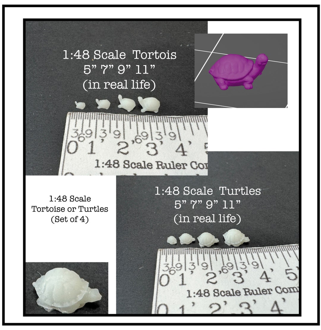 1:48 Scale Turtles (4) or Tortoise (4) Kit * Dollhouse Miniature * O ...