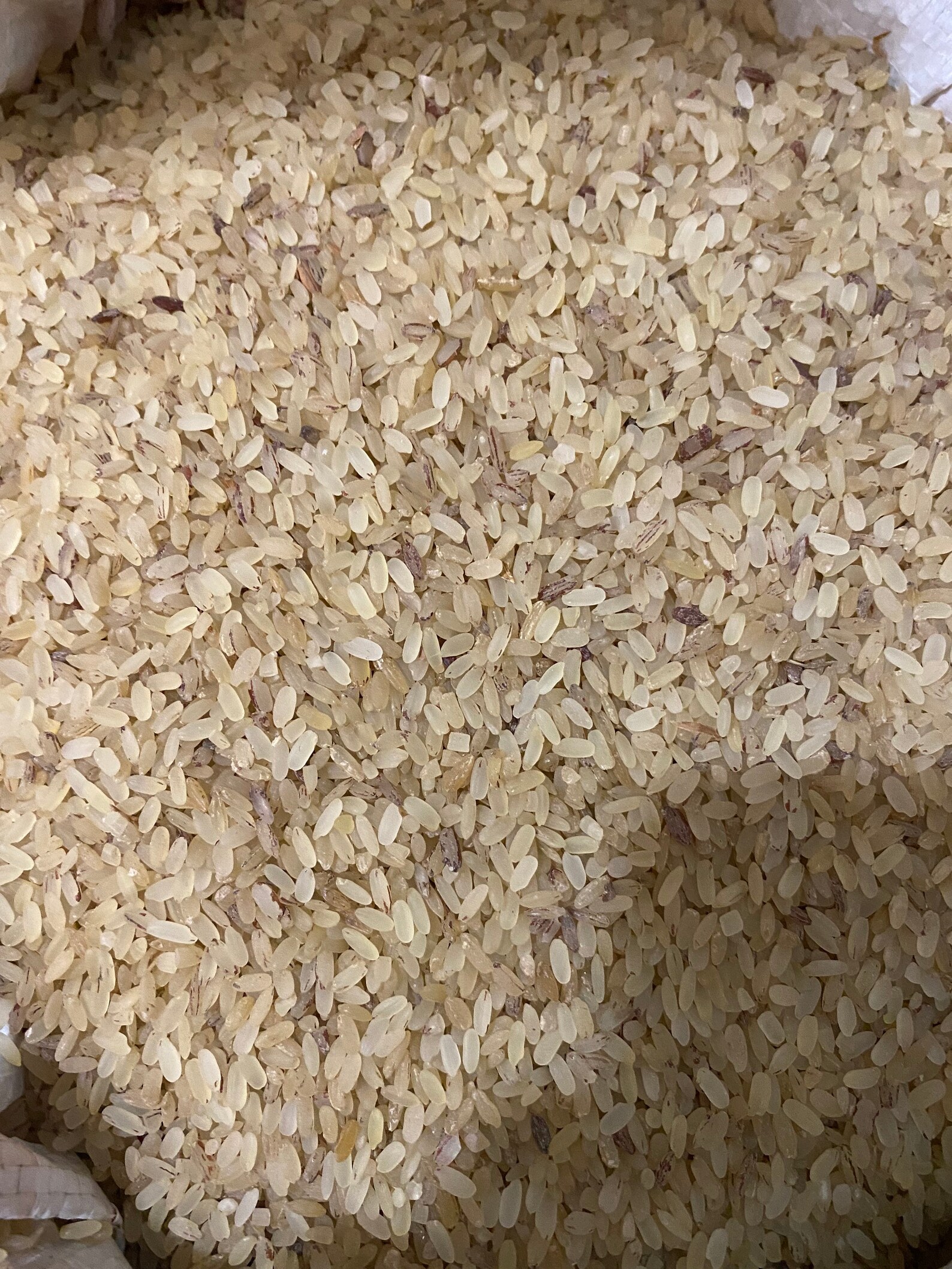 Authentic Ofada Rice| Authentic Raw Nigerian Wild Ofada Dirty Rice ...