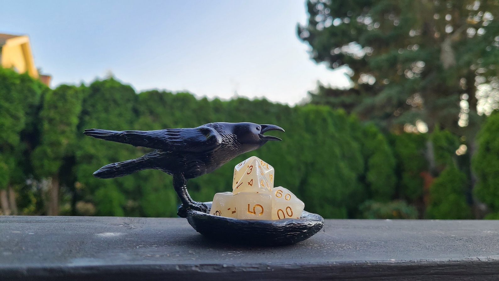 Raven Treasure/dice Guardian - Etsy