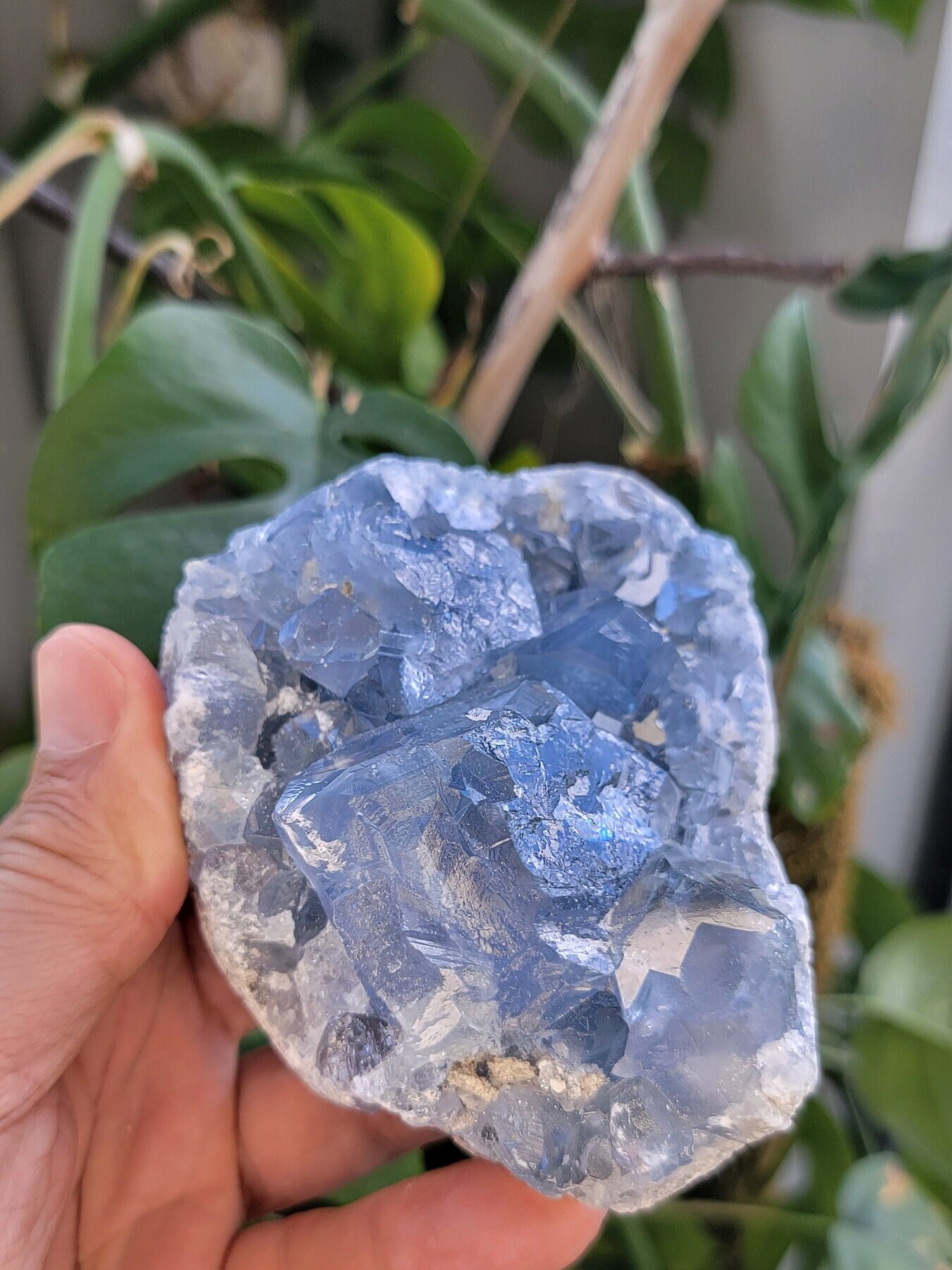 FragileGems Etsy