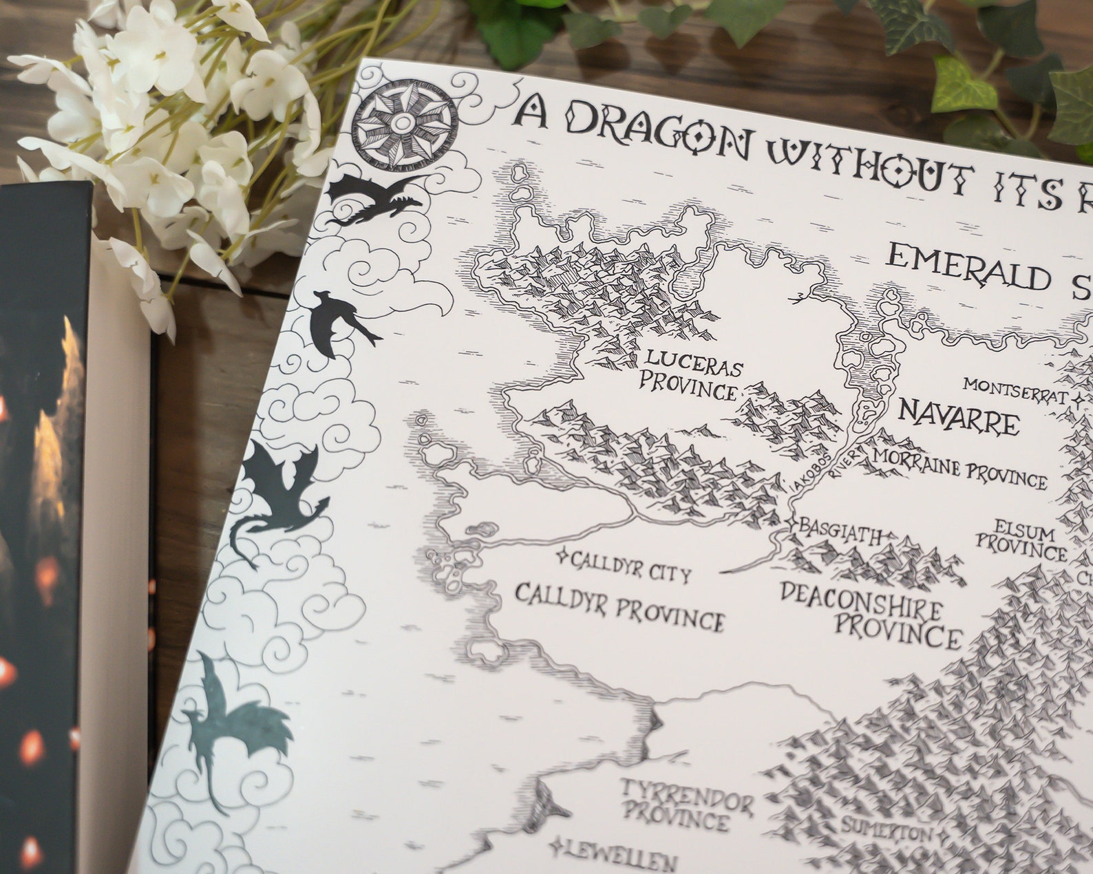 Fourth Wing Map Print | Hand Drawn Art Print - Etsy
