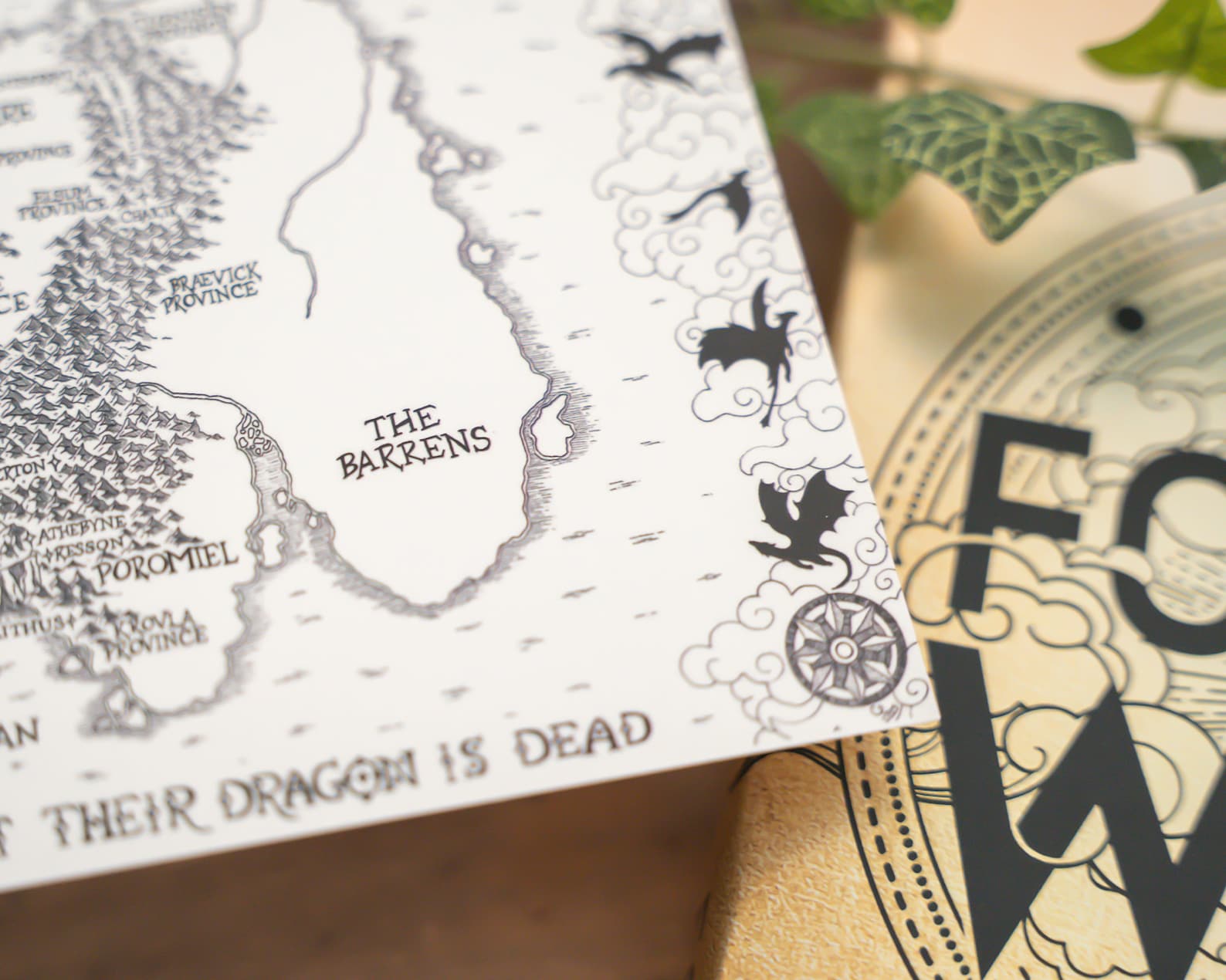 Fourth Wing Map Print | Hand Drawn Art Print - Etsy