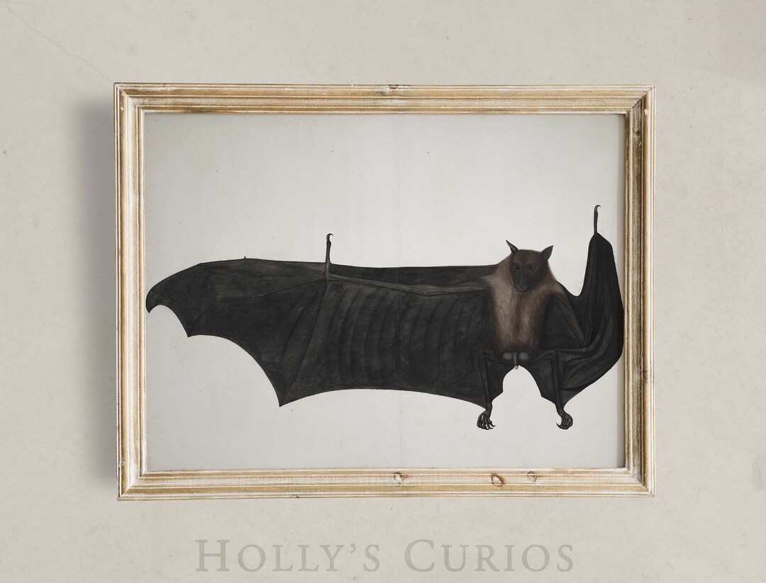 Vintage Bat Art Printable Dark Academia Aesthetic - Etsy
