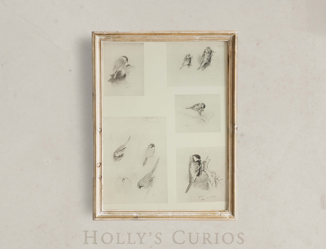 Bird Studies Dark Academia Aesthetic Cottagecore Vintage Moody Bird ... Bird Studies Dark Academia Aesthetic Cottagecore Vintage Moody Bird ...