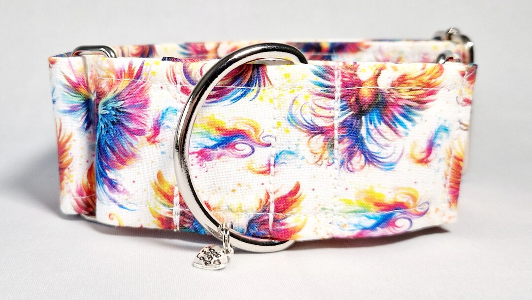 Colourful Phoenix Martingale Dog Collars - Etsy