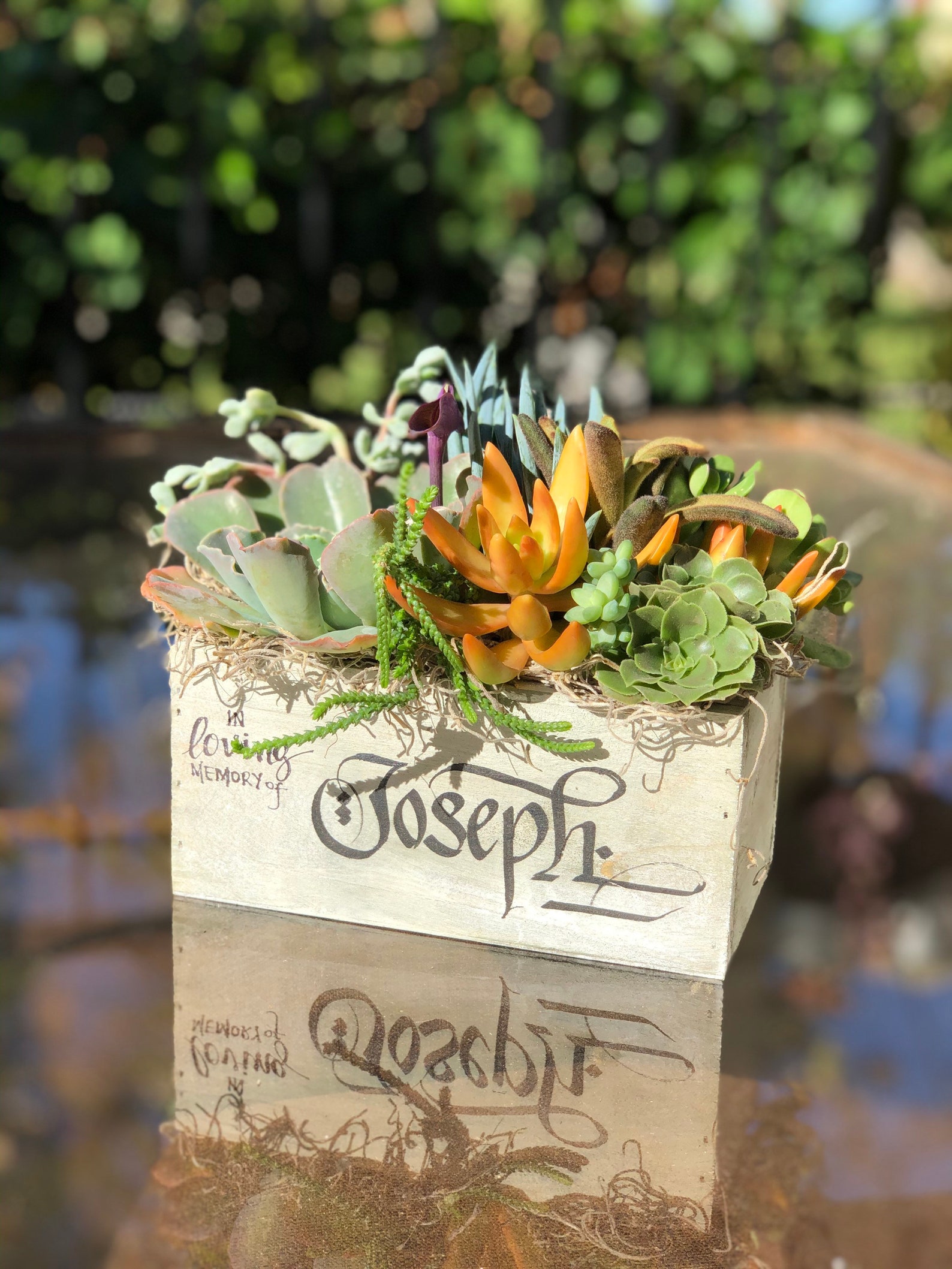 Personalized Wood Box Planter Succulent Arrangement . Sympathy - Etsy