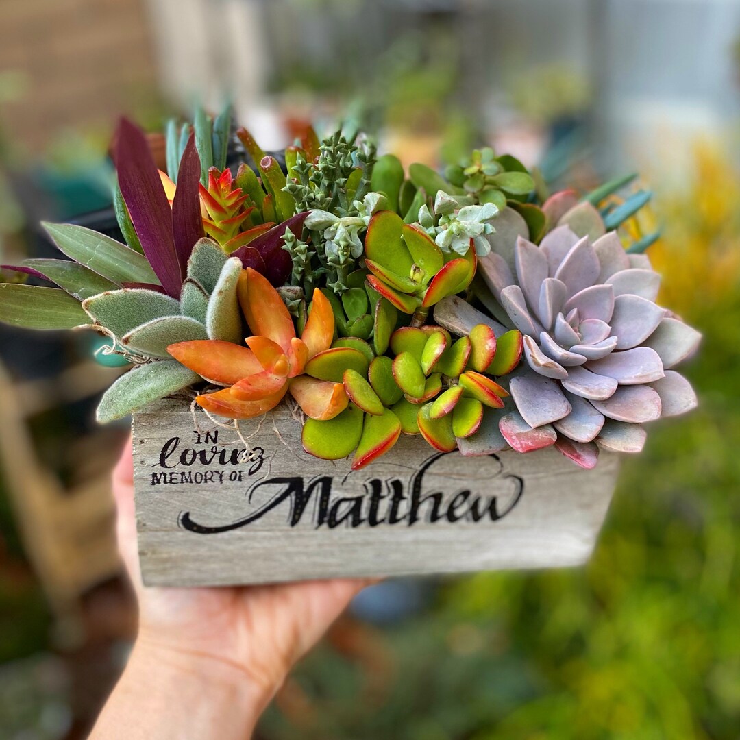 Personalized Wood Box Planter Succulent Arrangement . Sympathy ...