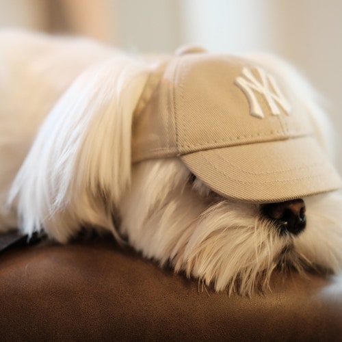 Dog Hat Patriotic Puppy - Etsy