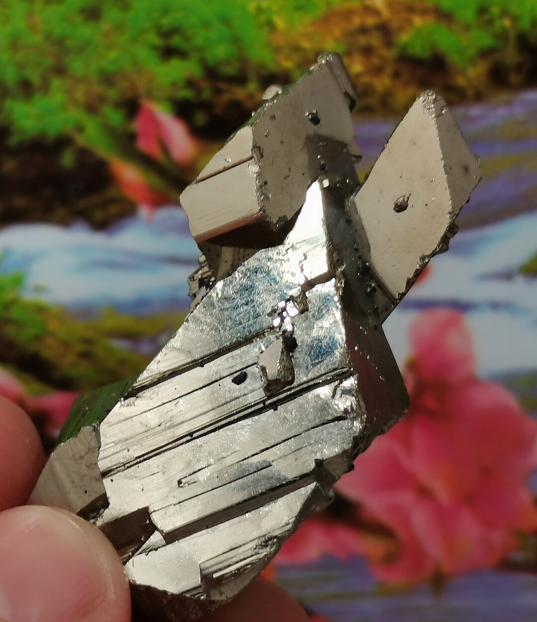 Amazing Pyrite Cluster From Bulgaria Gold Minerals Crystal - Etsy