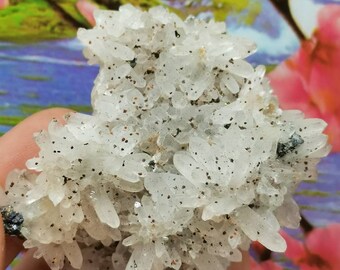 Amazing Quartz With Galena and Sphalerite From Bulgaria, Gold Minerals ...