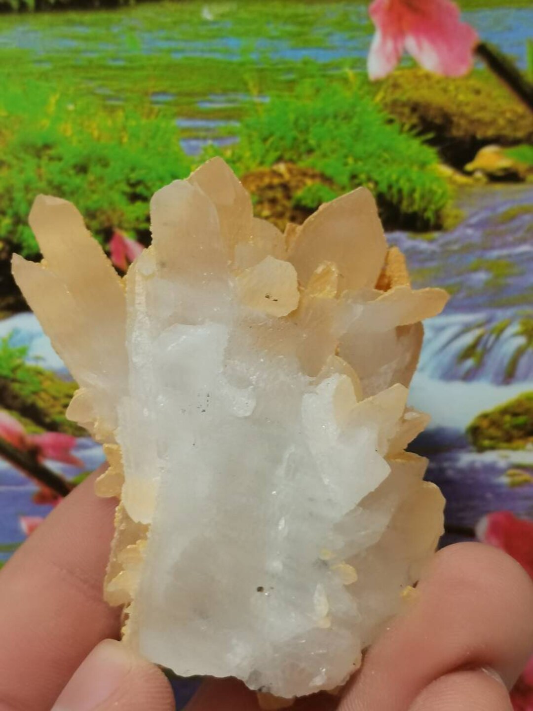 Amazing Quartz With Iron Oxidation From Bulgaria , Gold Minerals ...