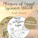 10 Plagues of Egypt Activity, Bible Story Activities for Kids, Sunday ...