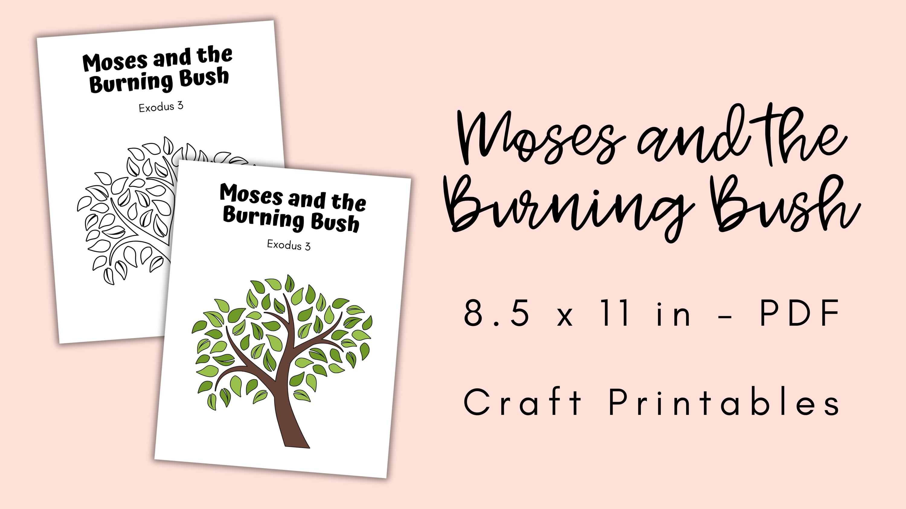Moses and the Burning Bush Craft, Sunday School Craft Printable ...