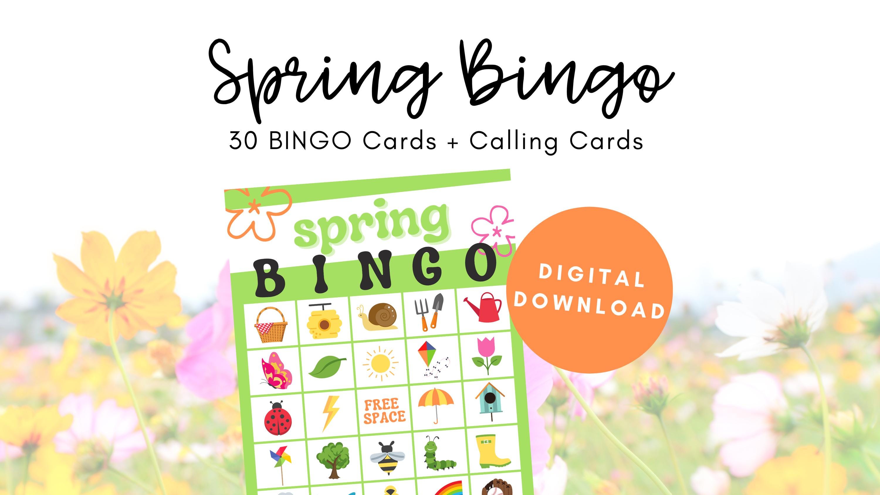 Spring Bingo, Bingo Cards Printable, Bingo Game, Bingo Game Download ...