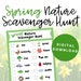Spring Nature Scavenger Hunt, Scavenger Hunt Kids Outdoor, Backyard ...