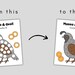 Manna and Quail Kids Craft, Exodus Coloring Sheets, Dot Marker Coloring ...