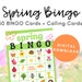 Spring Bingo, Bingo Cards Printable, Bingo Game, Bingo Game Download ...