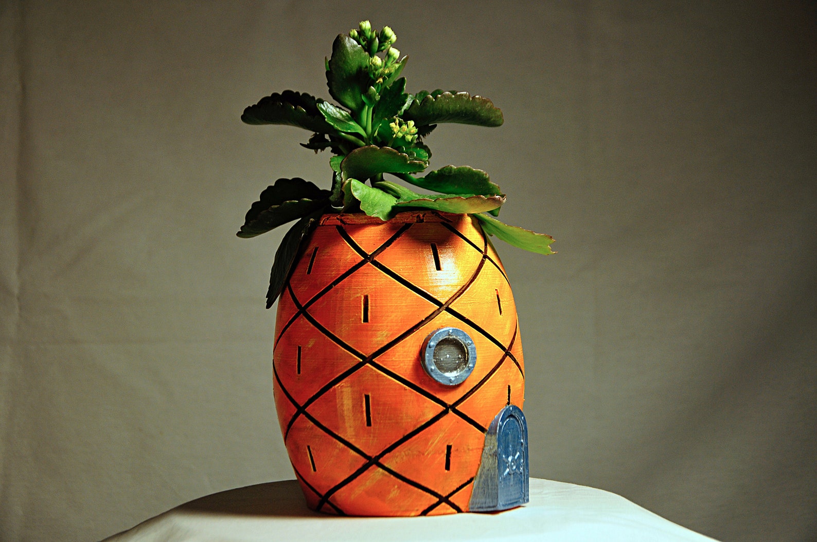 Spongebob House Planter | Etsy