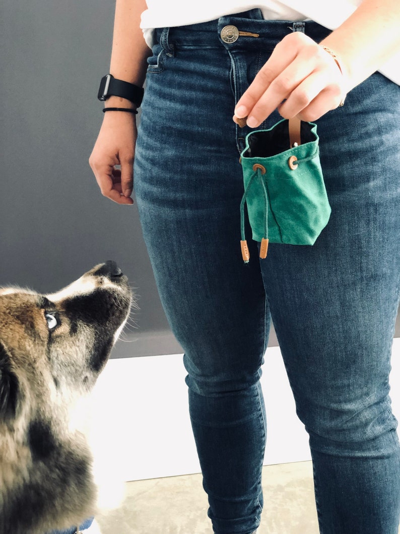 Dog Training Pouch - Etsy
