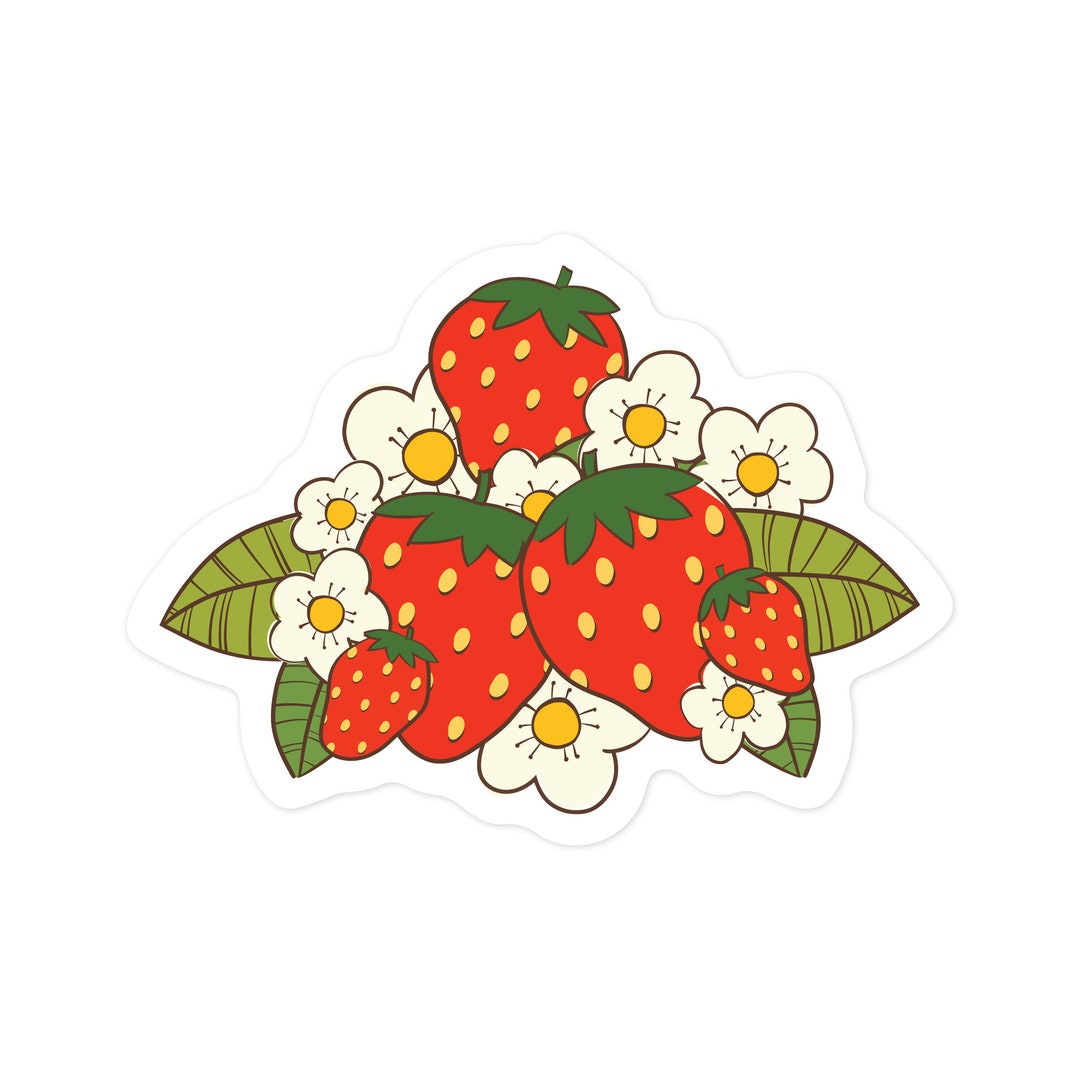 Strawberries Sticker Illustrated Cute Strawberries and Blossoms Retro ...