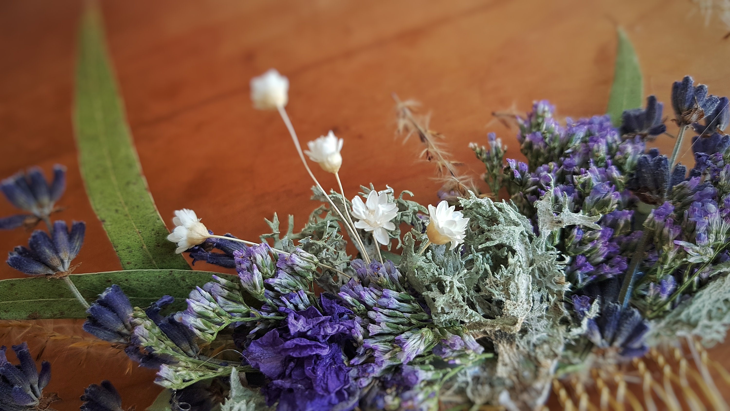 Comb in Dried Flowers mediterranean - Etsy Singapore