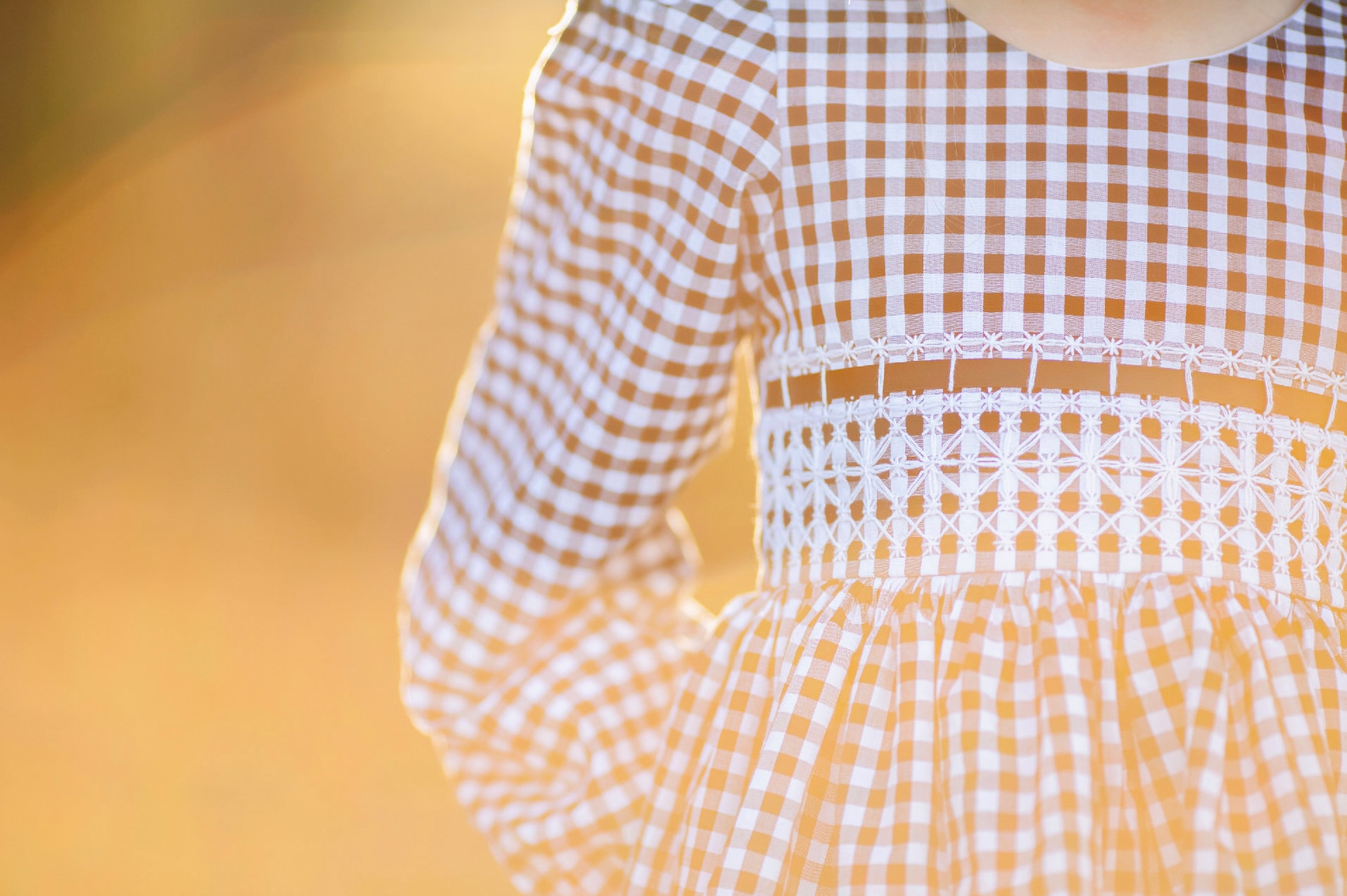 Cynthia PDF Embroidery Pattern Chicken Scratch Embroidery - Etsy