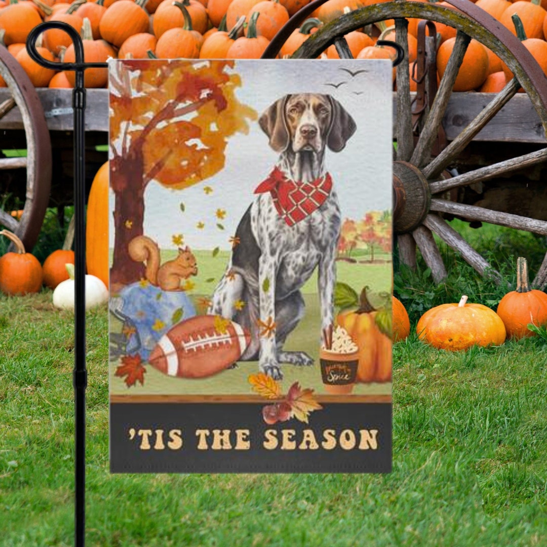 German Shorthaired Pointer Dog Fall Autumn Garden Flag, Football ...