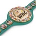WBC Mini Championship Belt - Etsy