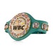 WBC Mini Championship Belt - Etsy
