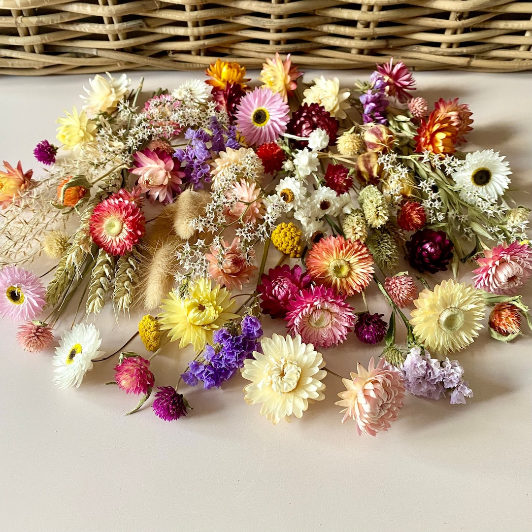 Dried Flower Craft Box A Colourful Selection of Heads & Short Stems for ...